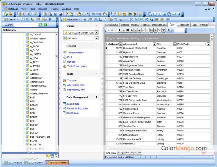 Management Studio Sql